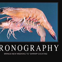 Pronography Videos | Photobucket
