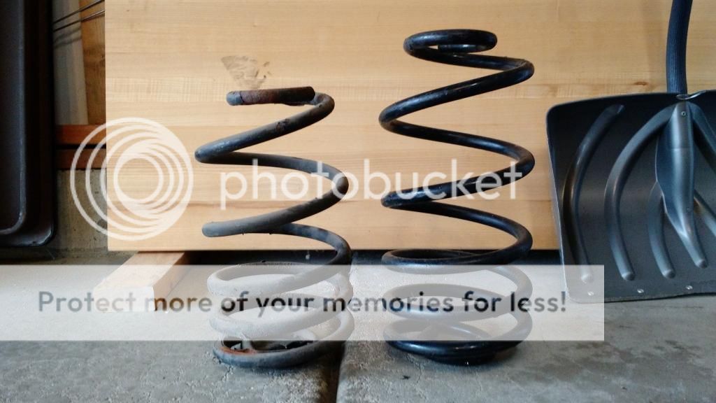 Which way do these new rear springs go? | Team Chevelle