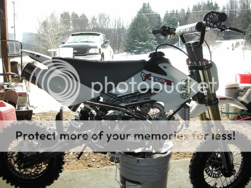 There's a new Pitster in town. Pics! | PlanetMinis Forums