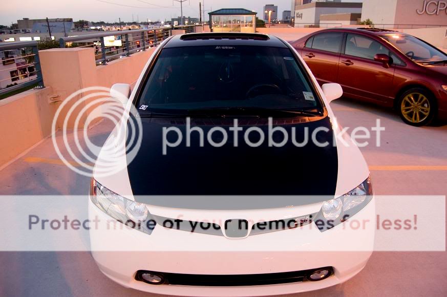 Championship White Fa5 photoshoot | 8th Generation Honda Civic Forum