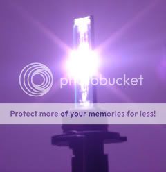 HID Lighting Info | Charger Forums