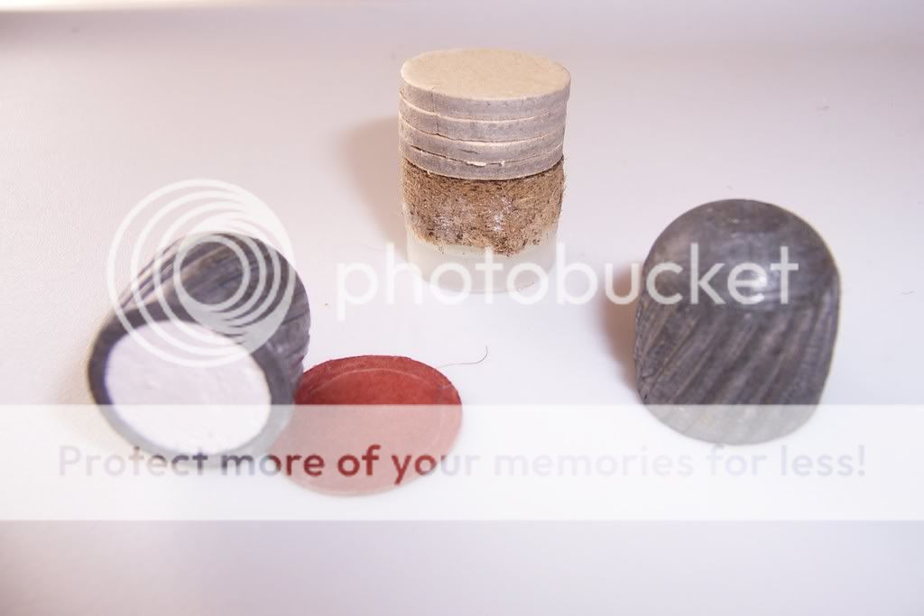 Shotgunworld.com • Accuracy with Lyman Foster-12 ga