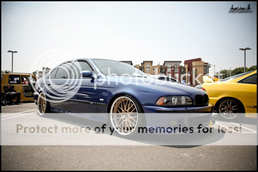 Blue E39 and Gold Wheels